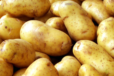 Potatoes 1 kg (May Queens) – Kasamatsu Farms