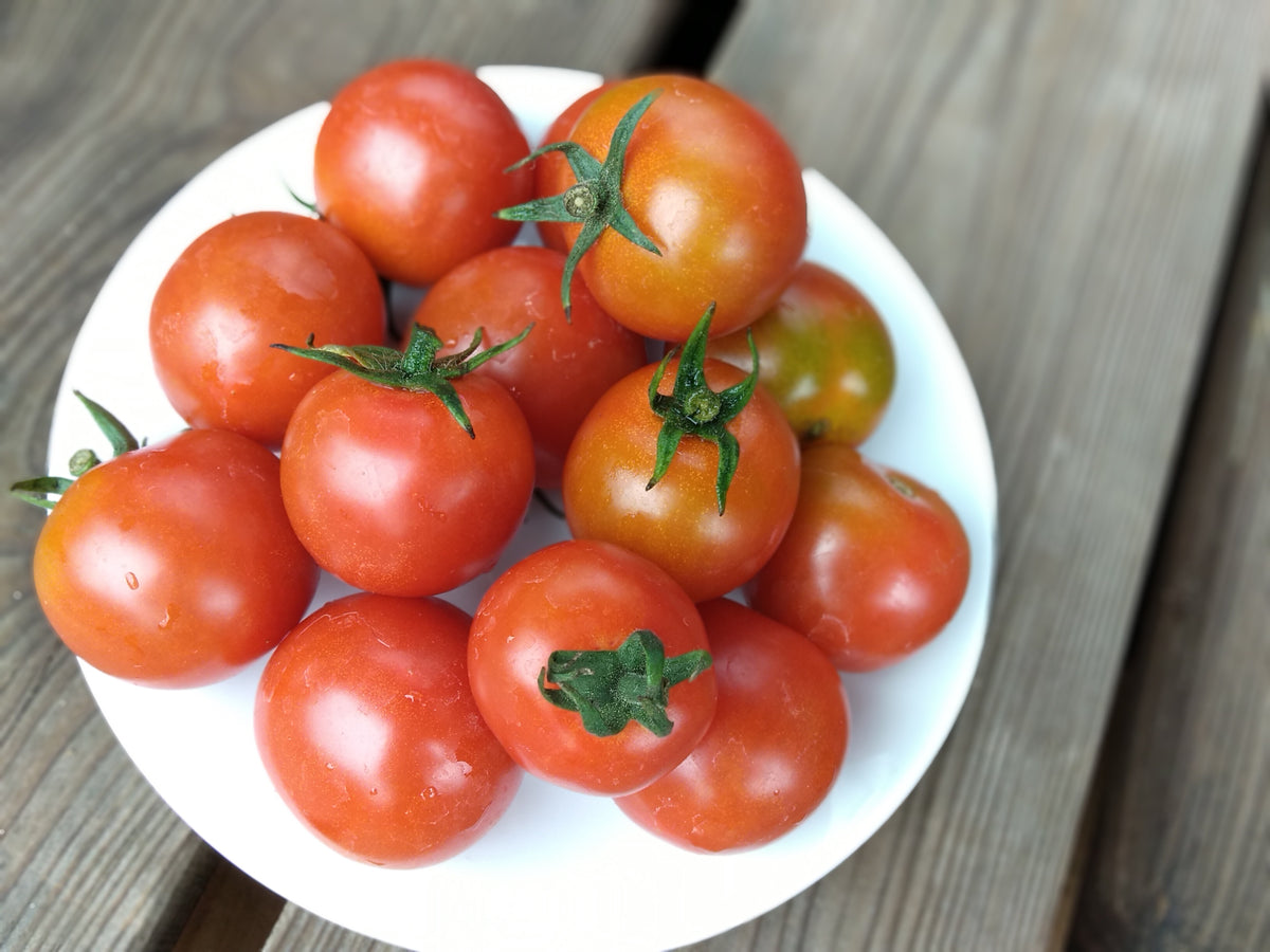 Sakura Cocktail Tomatoes (500g) – Kasamatsu Farms