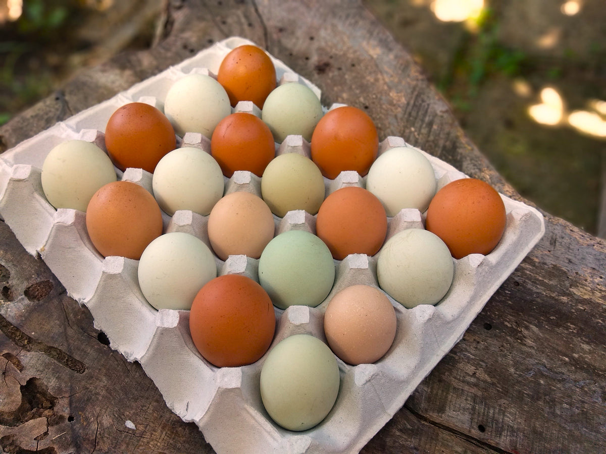 20 eggs (half crate) every 2-4 weeks - subscription (shipping included ...