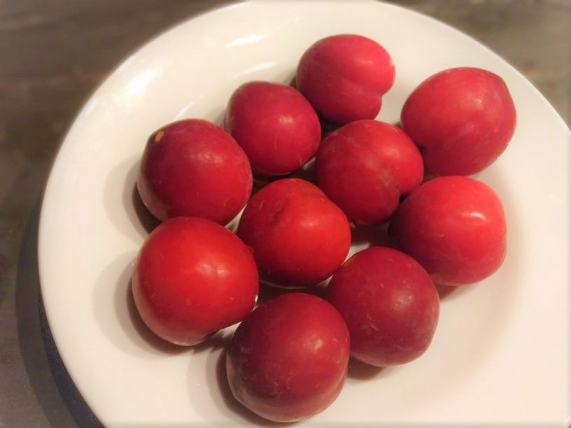 Plum (sumomo) – Kasamatsu Farms