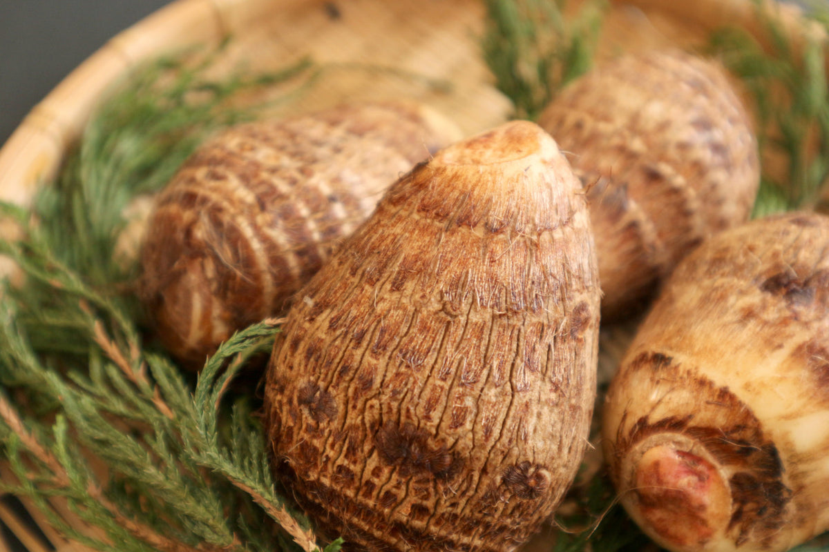 Satoimo (taro potatoes) 800g – Kasamatsu Farms
